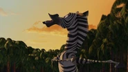 Marty (Madagascar) | Wiki Herois | Fandom