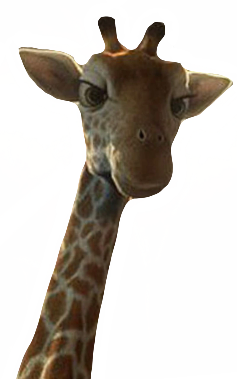 Bridget (Selvagem) | Wiki Herois | Fandom