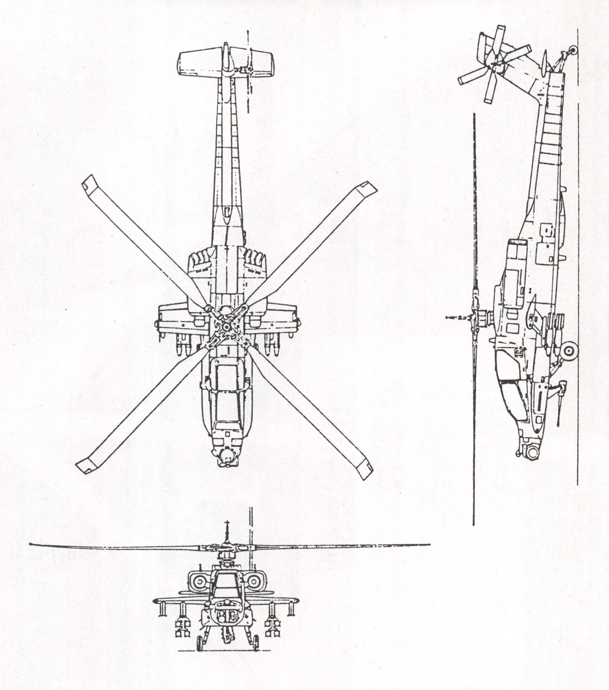 Tom Tiger | Heroism Wiki | Fandom