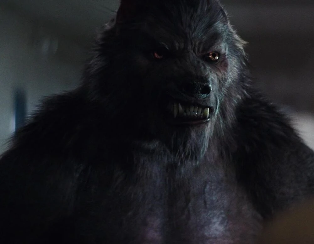 Facing the Enemy/Gallery | Heroism Fanon Stuff Wiki | Fandom