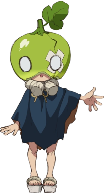 Suika | Wiki Héros | Fandom