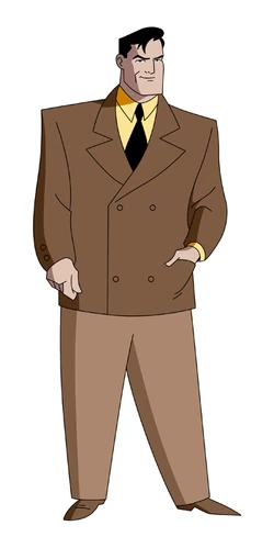 Bruce Wayne (DCAU) | Wiki Héros | Fandom