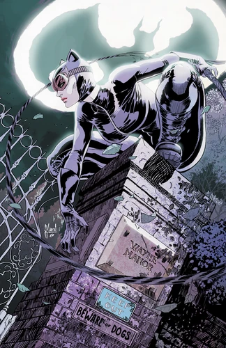 Selina Kyle (Prime Earth) | Wiki Héros | Fandom