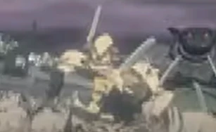 Marro Stingers | HeroScape Wiki | Fandom