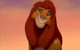 Simba | Hero's list Wikia | Fandom