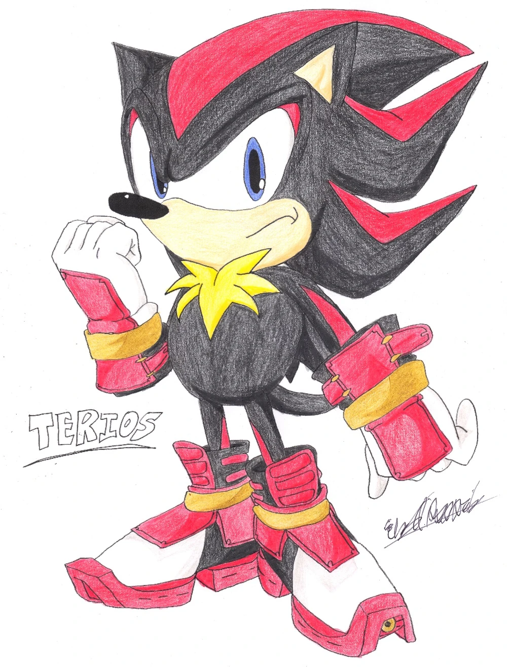 Terios the Hedgehog | Heroton Group Wiki | Fandom