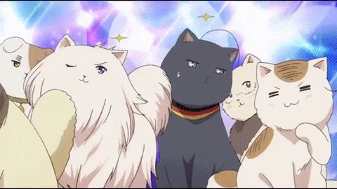 Nekotalia | Hetalia Wiki | Fandom