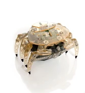 Crab | Hexbug Wiki | Fandom