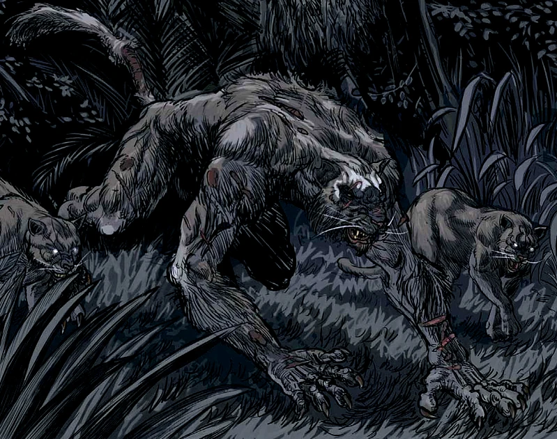 Werkater – Offizielles Hexer-Wiki - Charaktere, Monster, Orte, Alchemie ...