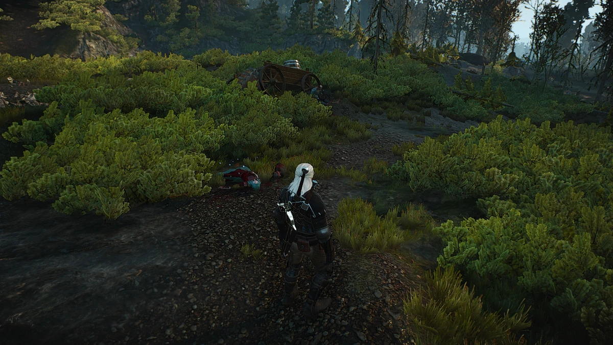 Pech – Offizielles Hexer-Wiki - Charaktere, Monster, Orte, Alchemie ...