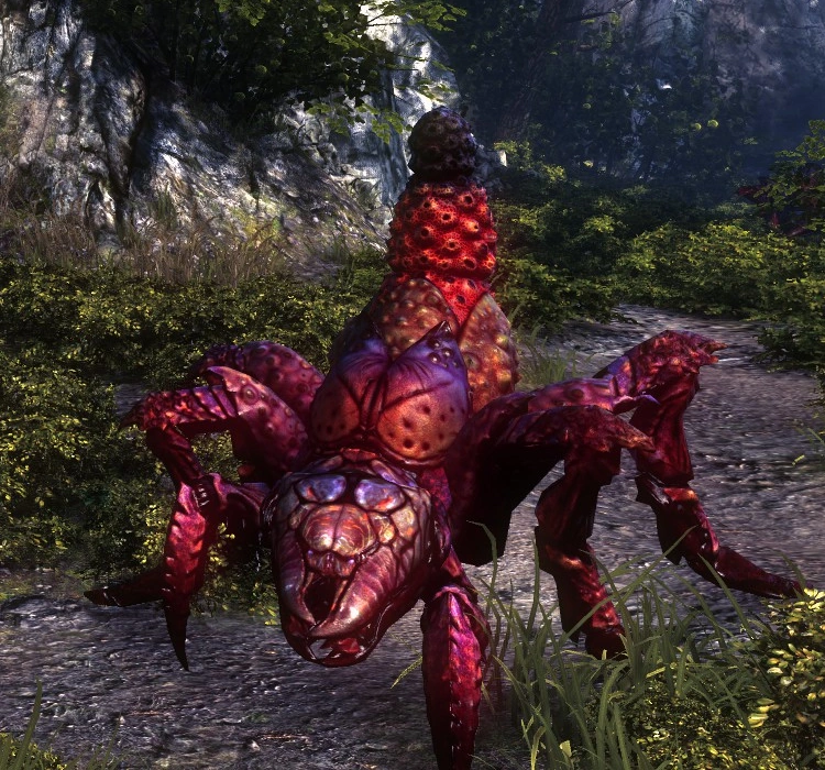 Garde-Endriaga – Offizielles Hexer-Wiki - Charaktere, Monster, Orte ...