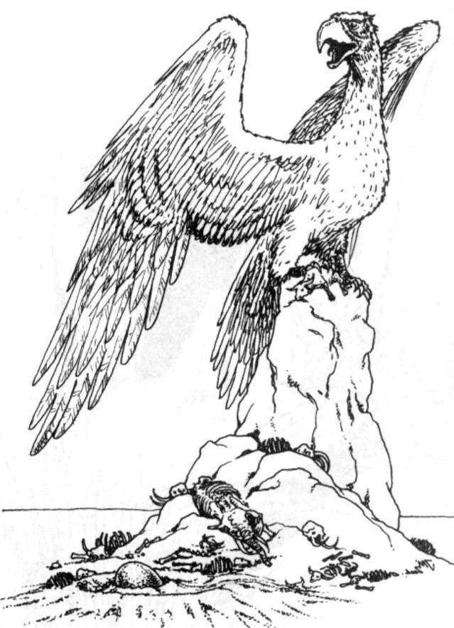 Rokh – Offizielles Hexer-Wiki - Charaktere, Monster, Orte, Alchemie ...