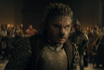 Duny vom Erlenwald/Netflix – Offizielles Hexer-Wiki - Charaktere ...