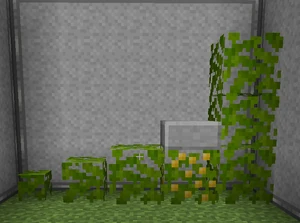 Maloberry Bush | Hexxit Wiki | Fandom