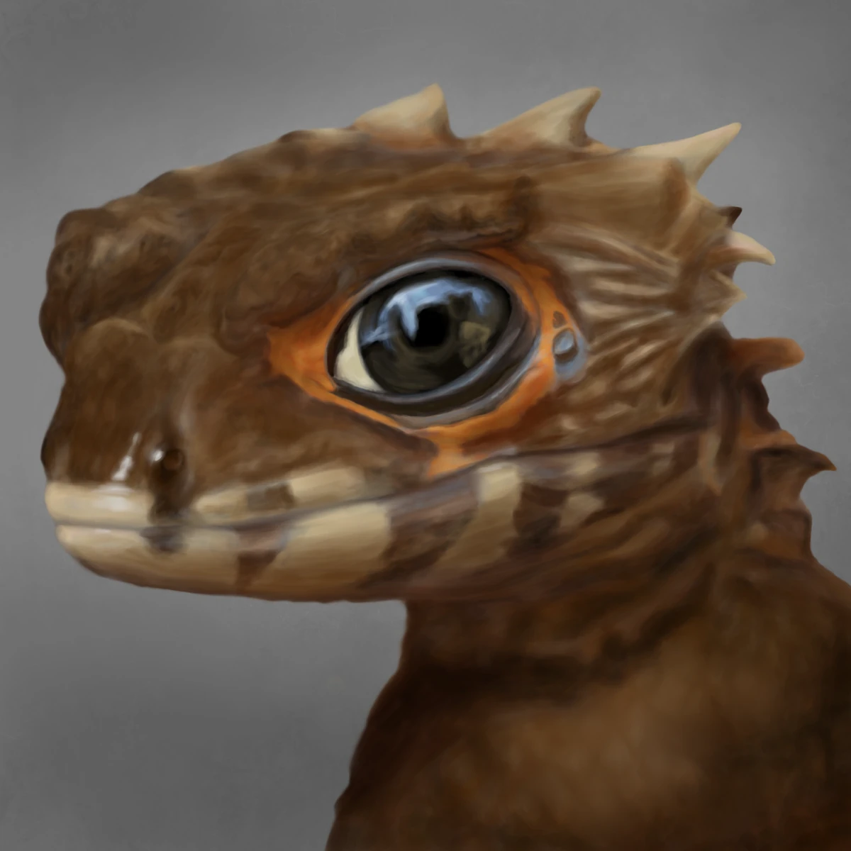 Crae | Hunger Games 5E Wiki | Fandom