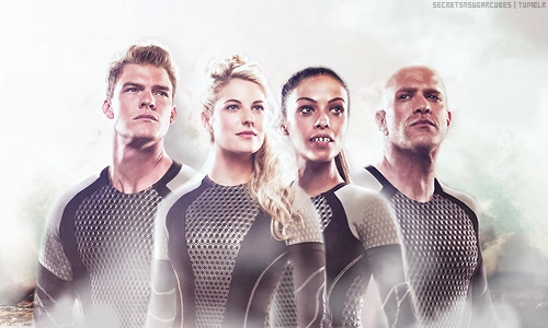 Career | Hunger Games Roleplay Wiki | Fandom