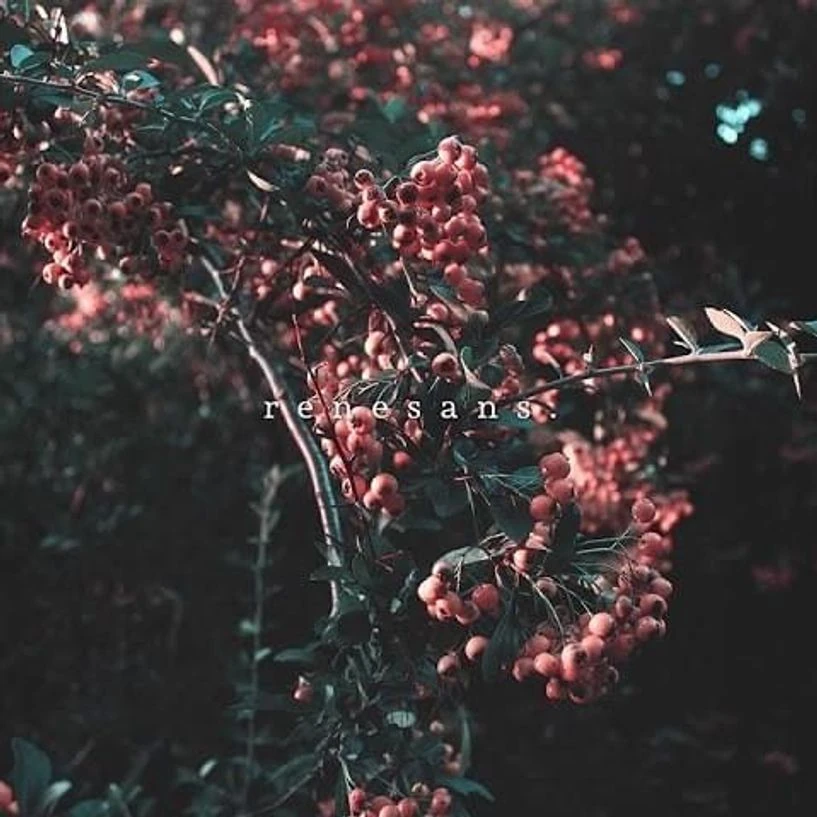Renesans EP | Hip Hop Wiki | Fandom