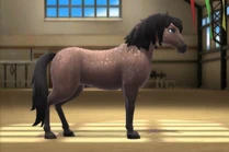 Welara | Horse Haven: World Adventures Wiki | Fandom