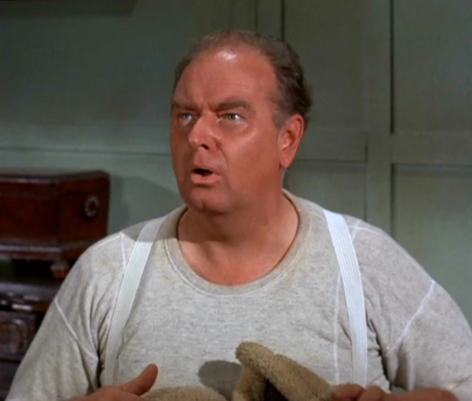 Colonel Burmeister | Hogan's Heroes | Fandom
