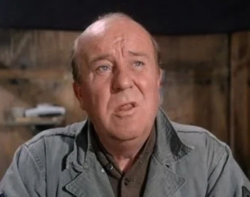 J. Pat O'Malley | Hogan's Heroes | Fandom