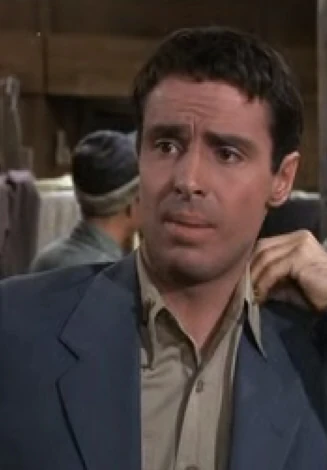 Captain | Hogan's Heroes | Fandom