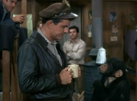 Monkey Business | Hogan's Heroes | Fandom