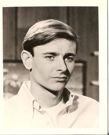 Peter Brooks | Hogan's Heroes | Fandom