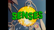 Five Senses | Hi-5 TV Wiki | Fandom