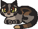 Willowkit | Hickory Isles Wiki | Fandom