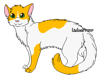 Brightheart | Hidden Prophecies Wiki | Fandom