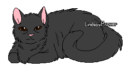 Cedarheart | Hidden Prophecies Wiki | Fandom