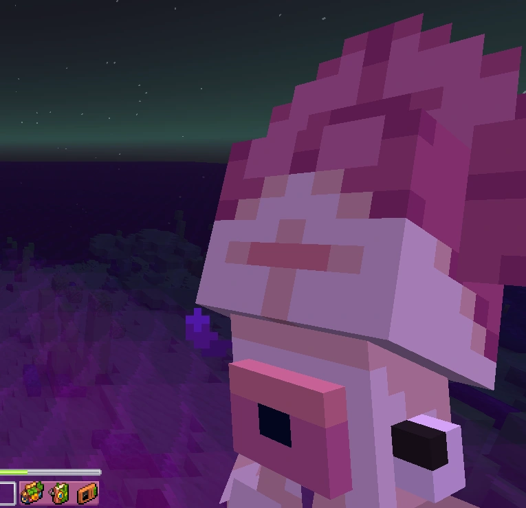 Squid Hideaway Wiki Fandom