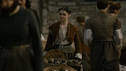 Casa Austera (serie) | Hielo y Fuego Wiki | Fandom