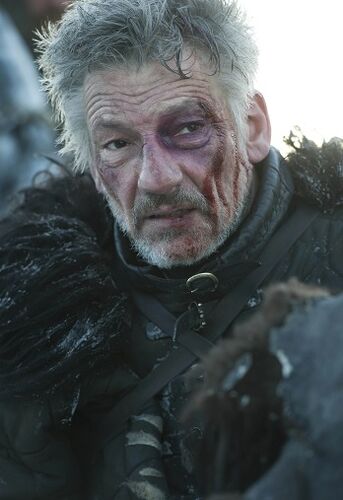 Qhorin Mediamano | Hielo y Fuego Wiki | Fandom