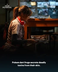 Season 1 | High Potential Wiki | Fandom