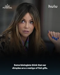 Season 1 | High Potential Wiki | Fandom