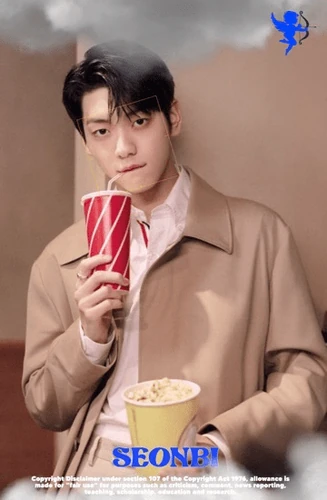 Seonbi | High Scale Wiki | Fandom