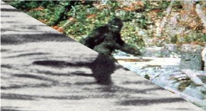 High Strangeness Wiki | Fandom