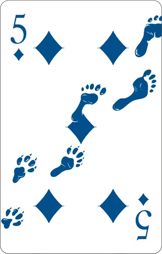 The X-Playing Cards | High Card Wiki | Fandom