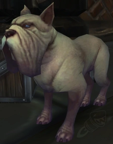 Category:Warcraft Dog Characters | Arcane Lore Wiki | Fandom