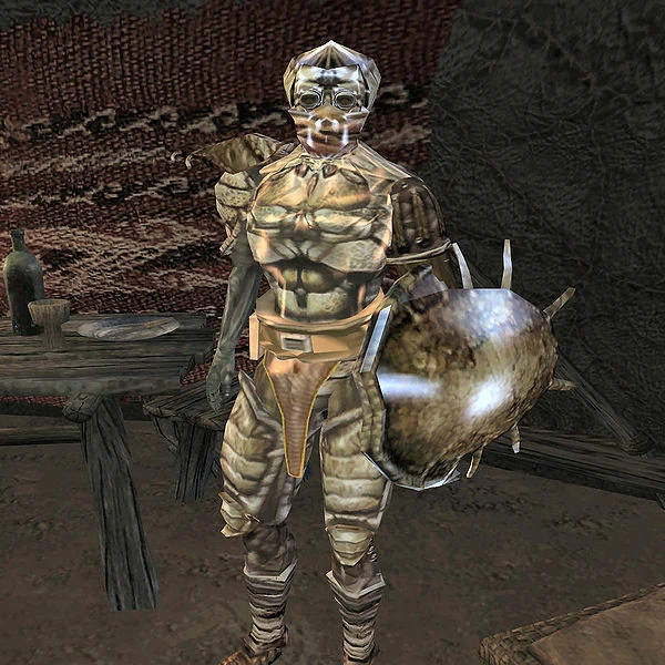 Category:TES Armor Merchant Characters | Arcane Lore Wiki | Fandom