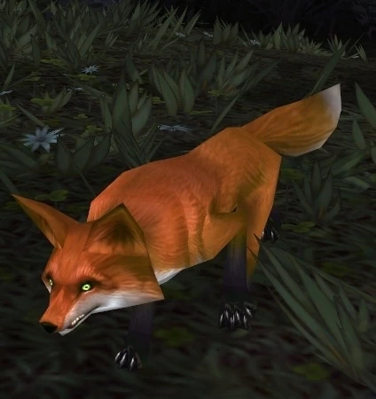 Baradin Fox Kits | Arcane Lore Wiki | Fandom