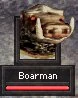 Boarmen | Arcane Lore Wiki | Fandom