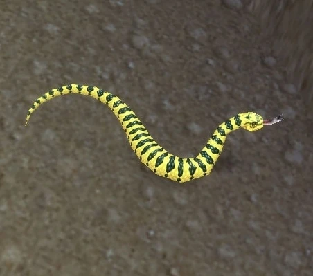 Category:Snakes | Arcane Lore Wiki | Fandom