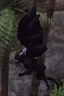 Winged Homunculi | Arcane Lore Wiki | Fandom