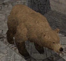 Category:NWN Bears | Arcane Lore Wiki | Fandom