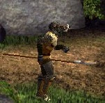 Boarmen | Arcane Lore Wiki | Fandom