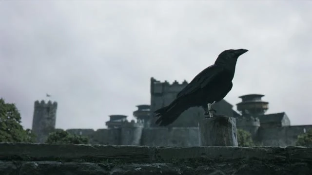 Ravens (ASoIaF) | Arcane Lore Wiki | Fandom