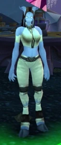 Category:Warcraft Healer Characters | Arcane Lore Wiki | Fandom