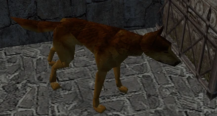 Category:Dogs | Arcane Lore Wiki | Fandom